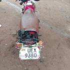 Bajaj Boxer 200 - 5 Used Motorcycles bajaj boxer 200 - Cari Motorcycles